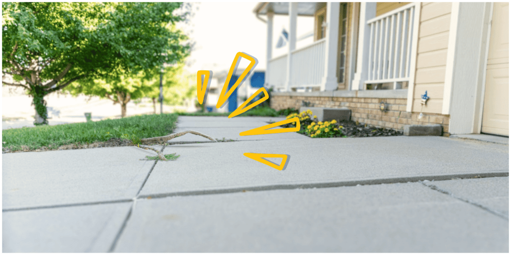 How Tree Roots Can Affect Your Home's Foundation - TFS - Foundation ...